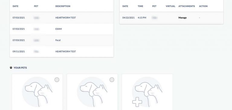 TLC Pet Hospital | Best Albuquerque Veterinarians | Surgery